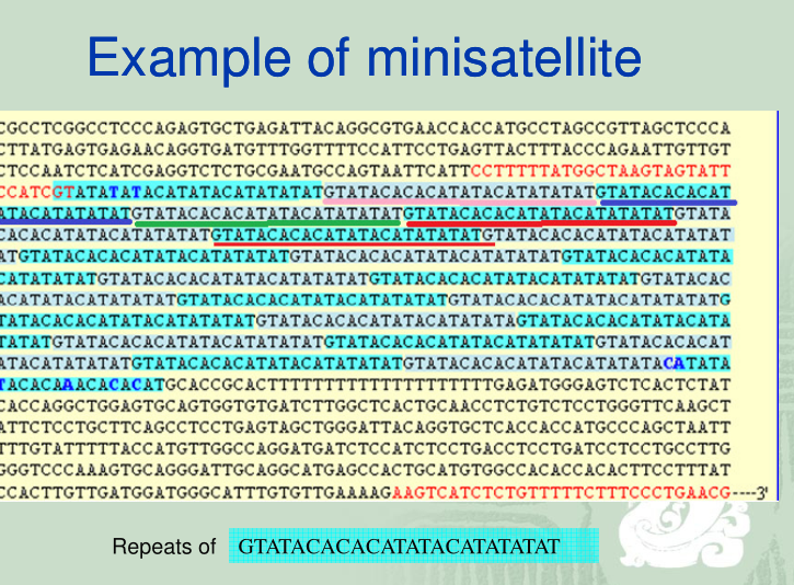 DNA fingerprinting- Definition, Principle, Steps, Applications ...