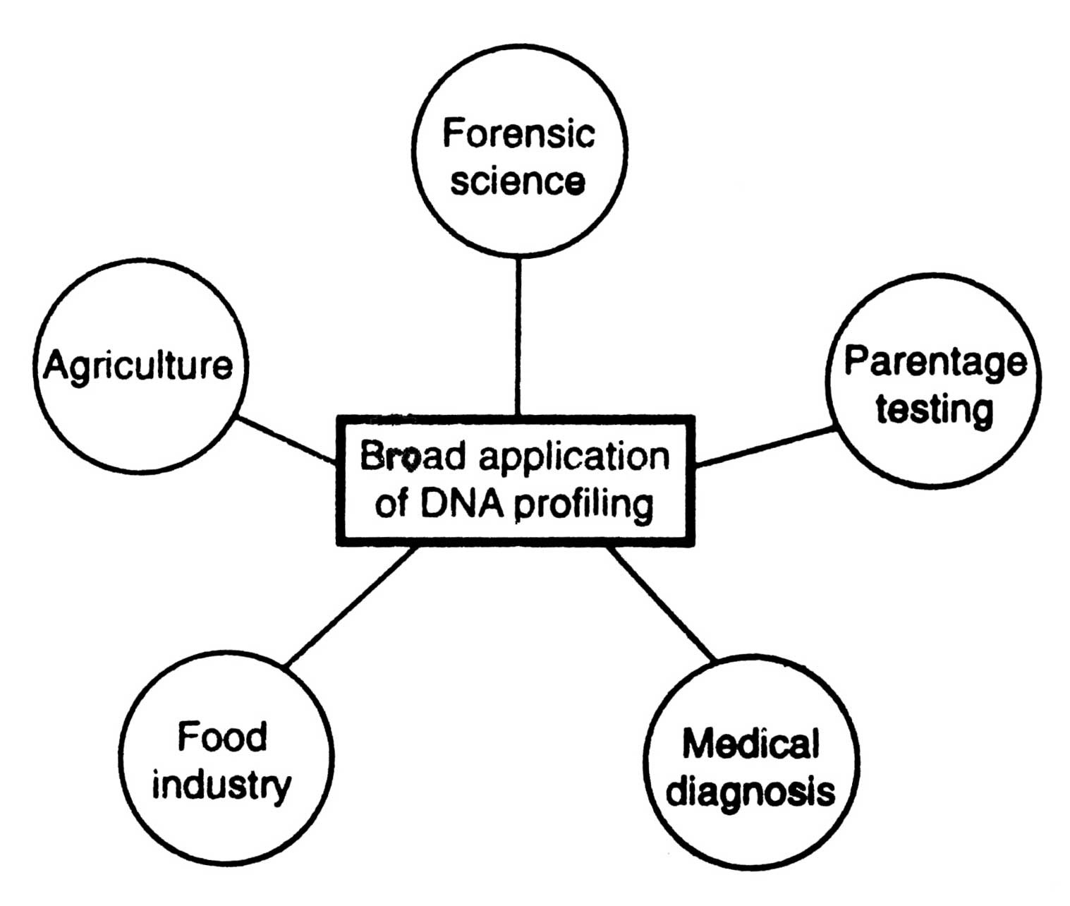 DNA fingerprinting- Definition, Principle, Steps, Applications - Sciencevivid