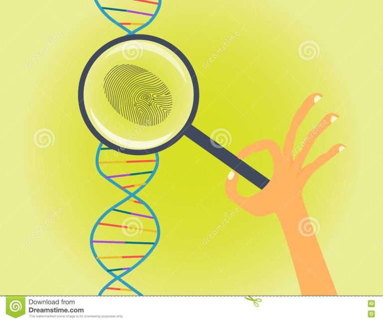 DNA fingerprinting- Definition, Principle, Steps, Applications ...