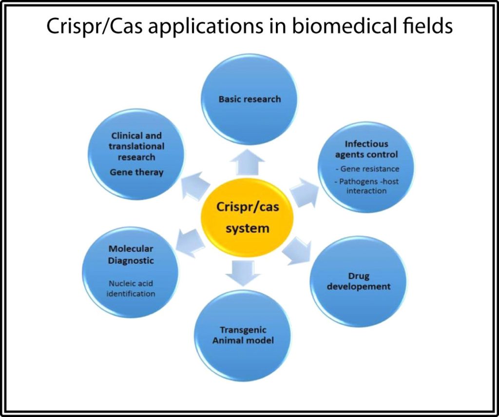 CRISPR-Cas9- Introduction, Mechanism, Diagnosis, Applications ...