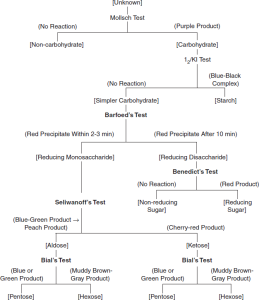 Tests for Carbohydrates- Principle, Procedures, Result, Interpretation ...
