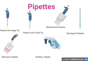 Pipette- Parts, Principle, Types, Calibration, Procedure, Uses ...