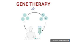 Gene Therapy- Definition, Classification, Types, Procedure ...
