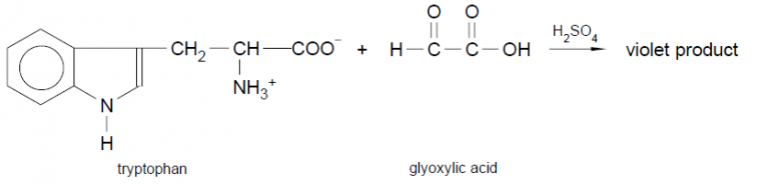 Tests of Amino acids- Principle, Procedure, Results, Interpretation