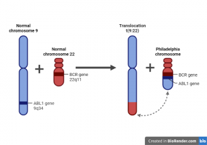 The Philadelphia Chromosome- Leukemia, Translocation, Diagnostic Tests