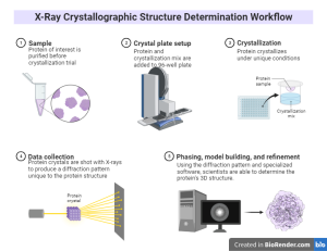 X-Ray Crystallography: Introduction, Workflow, Bragg’s Law, Applications