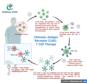 Chimeric Antigen Receptor (CAR)-T cell therapy: Introduction ...