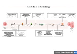 Chemotherapy: Introduction, Classification, Types, Mode of action ...