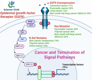 Cancer and Signal Transduction: The Role of EGF Pathway in Tumor Growth ...